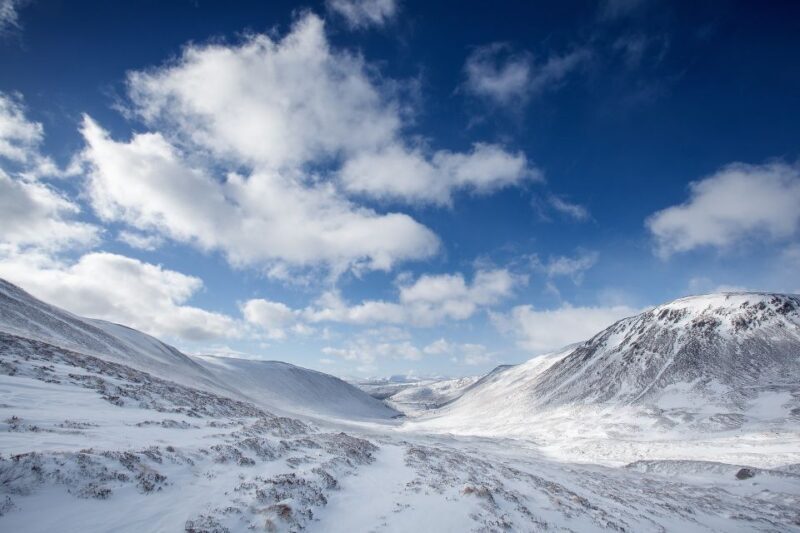 From Inverness: Cairngorms National Park and Whisky Tour - Key Points