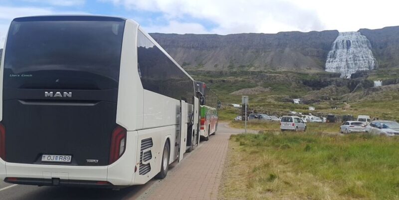 From Isafjordur: Dynjandi Waterfall Guided Day Trip by Bus - An In-Depth Look at the Tour Experience