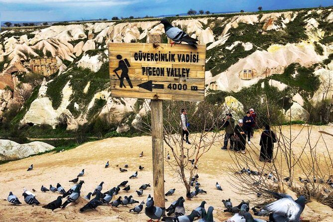 From Istanbul: 3-Day Cappadocia Highlights Tour by Plane - Final Thoughts: Who Is This Tour Best For?