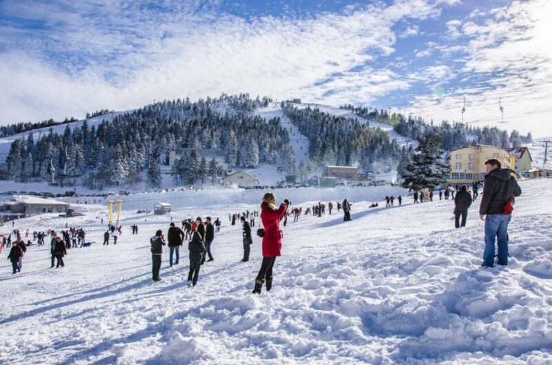 From Istanbul: Bursa and Mt. Uluda Full-Day Tour - Who is This Tour Best For?