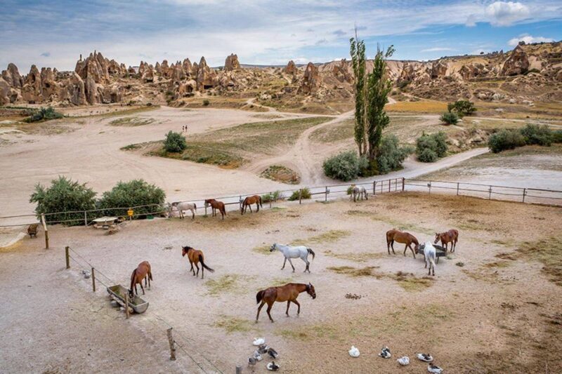 From Istanbul: Cappadocia, Ephesus, & Pamukkale Private Tour - Authentic Experiences and Highlights
