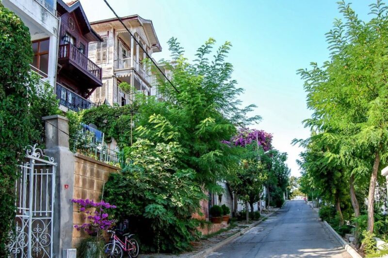 From Istanbul: Full-Day Princes Island Tour with Lunch - A detailed look at what this tour offers