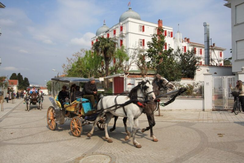 From Istanbul: Full-Day Princes Island Tour with Lunch - Who will find this tour most rewarding?