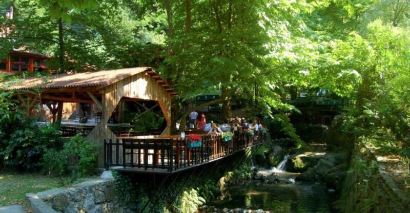From Istanbul: Guided Day Trip to Sapanca and Masukiye - Who This Tour Is Best For