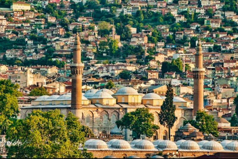 From Istanbul: Private Bursa City Day Trip - Who Will Enjoy This Tour?