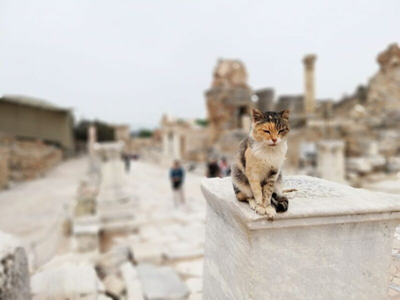 From Istanbul: Private Guided Day Trip to Ephesus with Lunch - The Practical Side of the Tour