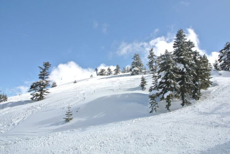 From Istanbul: Private Guided Tour to Bursa - Who Will Love This Tour?
