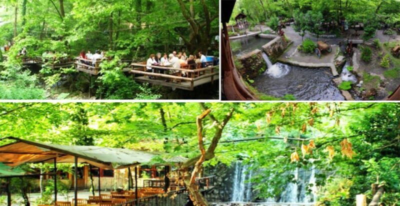 From Istanbul: Sapanca and Masukiye Day Trip with Lunch - Potential Drawbacks