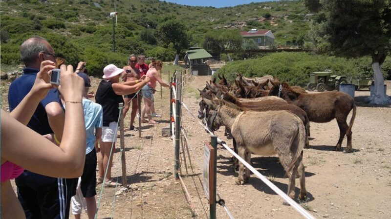 From Izmir: Full Day Boat Trip around Cesme with BBQ Lunch - A Detailed Look at the Experience