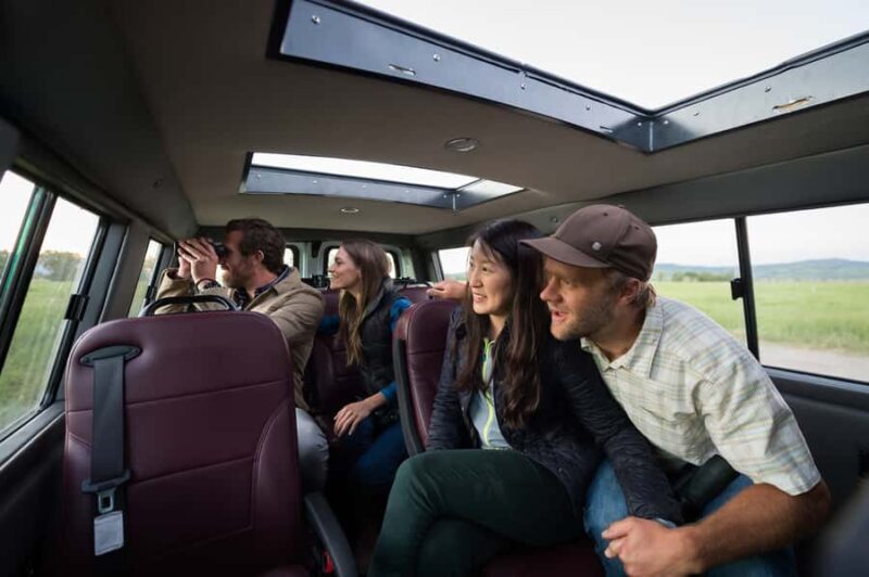 From Jackson: 4-Hour Eco Safari in Grand Teton National Park - The Experience in Detail