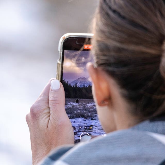 From Jackson: Grand Teton Sunset and Sightseeing Tour - The Sum Up: Is This Tour for You?