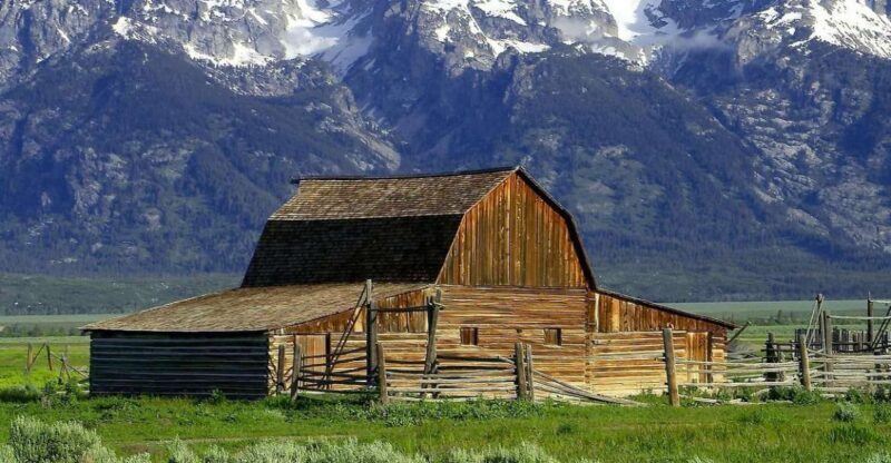 From Jackson: Half-Day Grand Teton National Park Tour - A Closer Look at the Itinerary and Experience