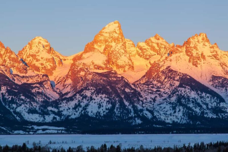 From Jackson Hole: Half-Day Grand Teton Winter Wildlife Tour - Exploring the Tour Itinerary and Experience