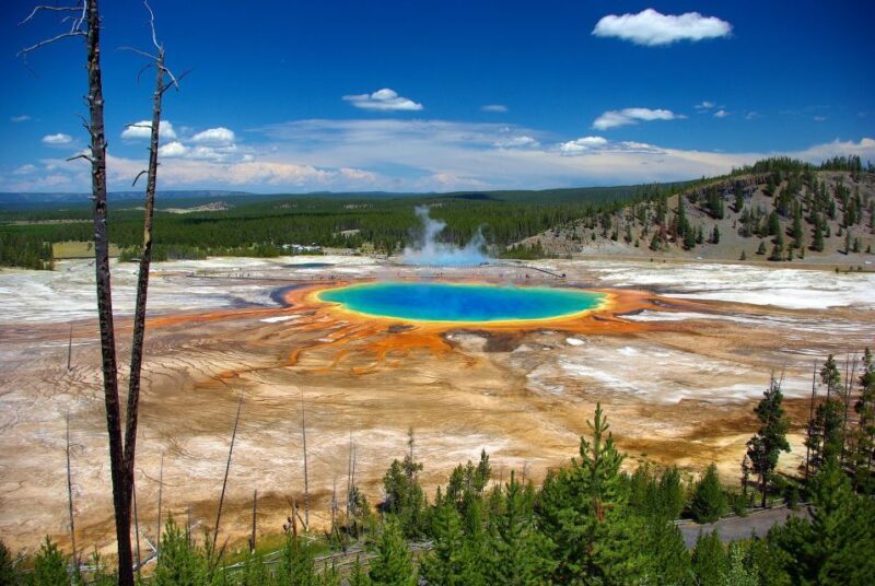 From Jackson: Yellowstone Day Tour Including Entrance Fee - What Travelers Are Saying