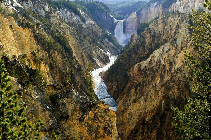 From Jackson: Yellowstone Day Tour Including Entrance Fee - Final Word