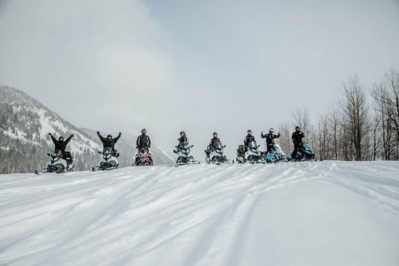 From Jackson: Yellowstone Grand Canyon Snowmobile Tour - What to Expect from the Tour