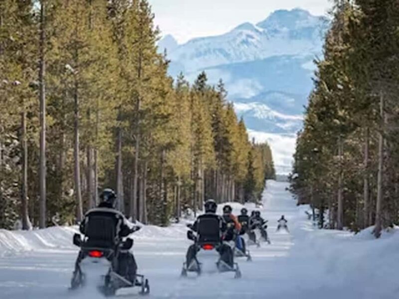 From Jackson: Yellowstone Grand Canyon Snowmobile Tour - The Practicalities: Price and Value