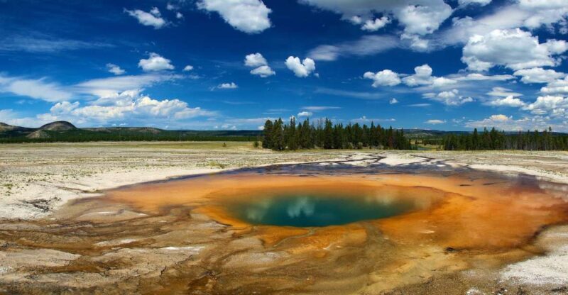 From Jackson: Yellowstone National Park Day Trip with Lunch - Exploring Yellowstone in a Day: The Jackson to Yellowstone Lower Loop Tour