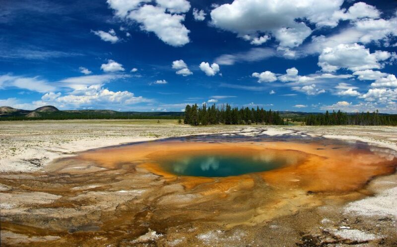 From Jackson: Yellowstone National Park Day Trip with Lunch - The Whole Day in Yellowstone: What You Can Expect