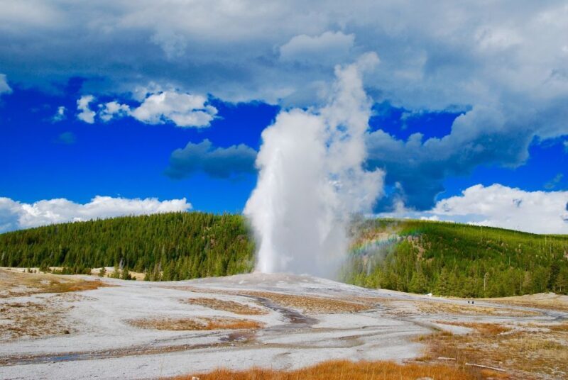 From Jackson: Yellowstone National Park Day Trip with Lunch - Price and Value