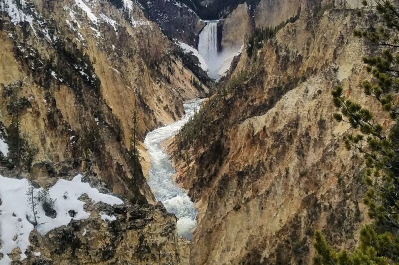 From Jackson: Yellowstone National Park Day Trip with Lunch - Wrapping It Up