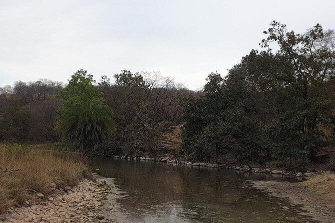 From Jaipur: 2 Day Ranthambore Tiger Safari with Transfers - Who Should Consider This Tour?