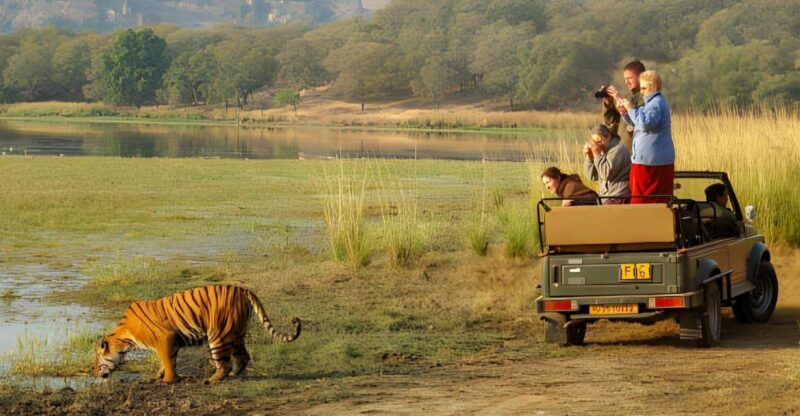 From Jaipur : 2 Days Ranthambore Tiger Safari Tour By Car - Key Points