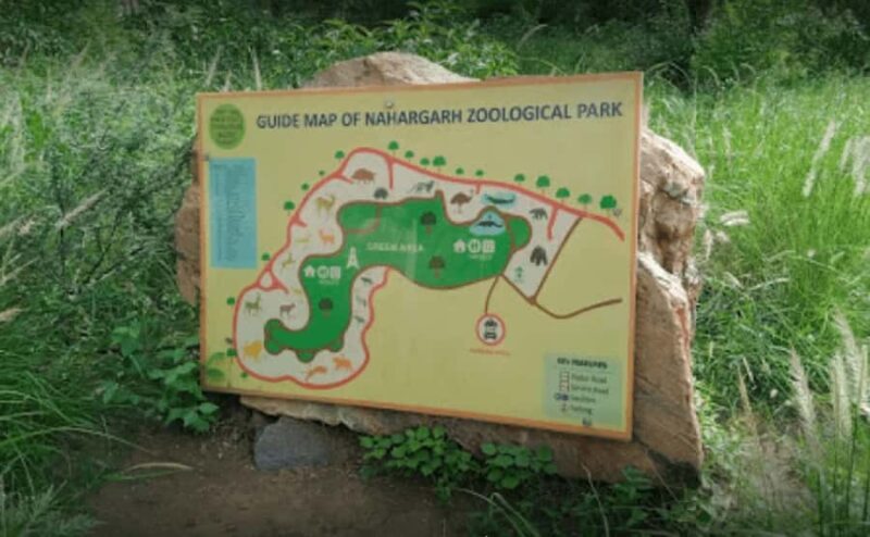 From Jaipur: Nahargarh Lion Safari Biological Park Tour - Practical Tips for Your Trip