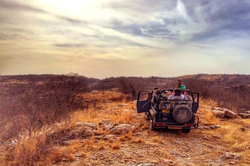 From Jaipur: Praivte Ranthambore Tour By Jeep Canter Safari - Key Points