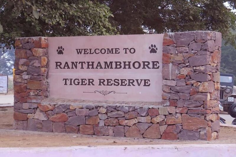 From Jaipur: Praivte Ranthambore Tour By Jeep Canter Safari - The Safari Experience: What to Expect
