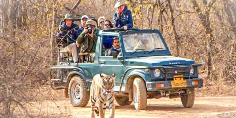 From Jaipur: Private Ranthambore Park Trip with Tiger Safari - Key Points