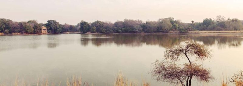 From Jaipur: Ranthambore Tiger National Park Tour (02 Days) - Frequently Asked Questions