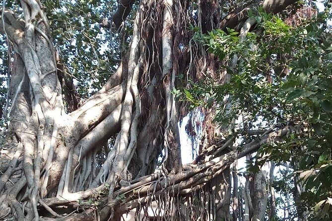 From Jaipur: Ranthambore Tiger Safari Same Day Trip - Who Will Love This Tour?