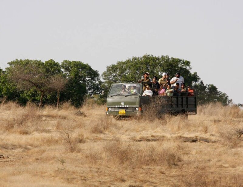 From Jaipur: Ranthambore Tour with Cab - Key Points