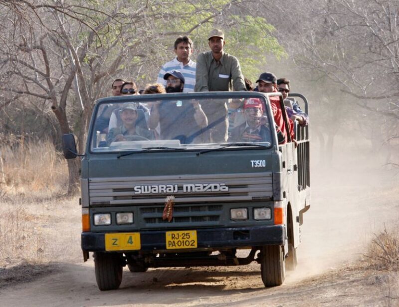 From Jaipur: Ranthambore Tour with Cab - An In-Depth Look at the Ranthambore Day Trip