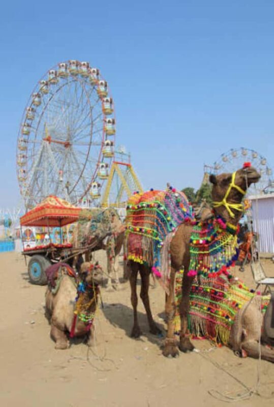 from Jaipur: Same Day Ajmer-Pushkar Tour by private Car. - Final Thoughts