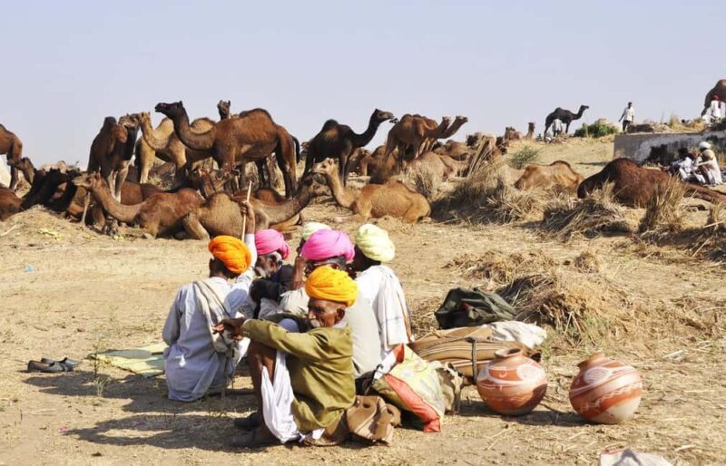From Jaipur: Same Day Pushkar Self-Guided Day Trip - Who Is This Tour Best For?