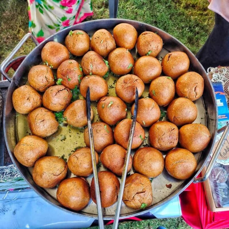 From Jaipur: Same Day Samode Village & Palace Tour - A Detailed Look at the Tour Experience