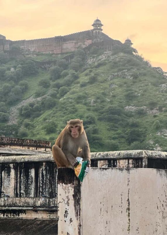 From Jaipur: Same Day Samode Village & Palace Tour - Who Is This Tour Best For?