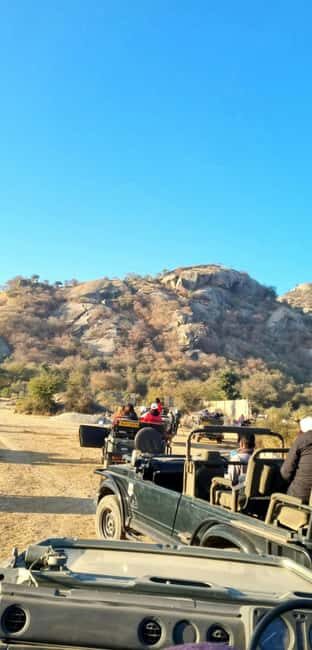 From Jaipur: Sariska National Park Day trip with Safari - Transportation and Group Dynamics