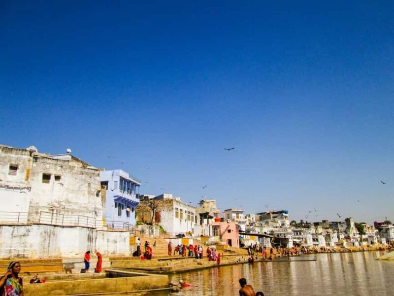 From Jaipur: Temple Town Pushkar Day Trip with Camel Safari - The Camel Safari: A Desert Delight