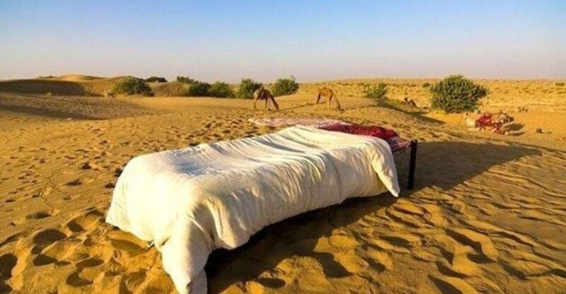 From Jaisalmer: Private Trip Under Stars with Camel Safari - An In-Depth Look at the Trip
