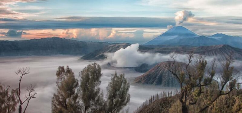 From Jakarta: Highlights of Java Guided Eight-Day Tour - Key Points