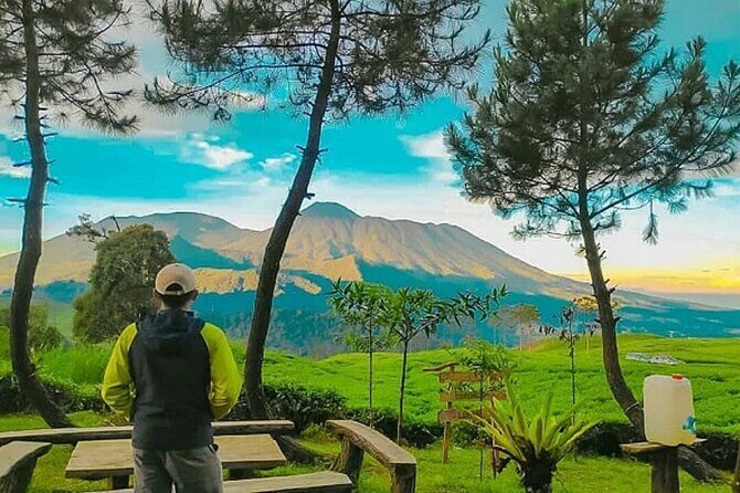 From Jakarta : Java Island To Bali Island 14 Day (Private Tour) - Central Java and the Pristine Wilderness