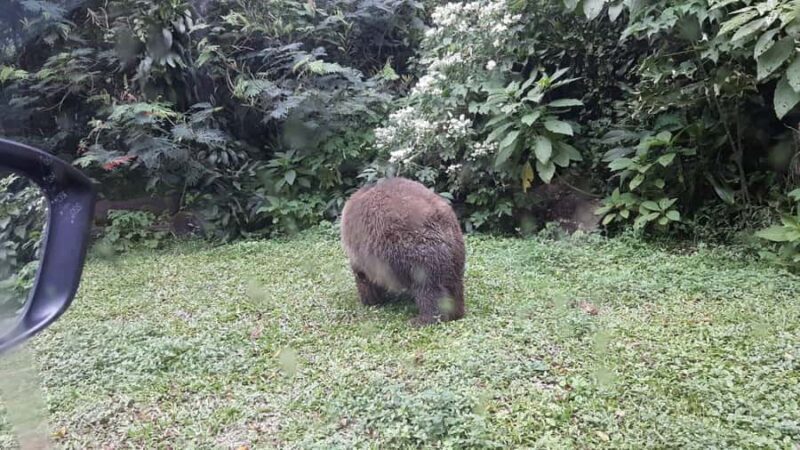 From Jakarta: Private Taman Safari Day Tour - The Details of the Taman Safari Day Tour