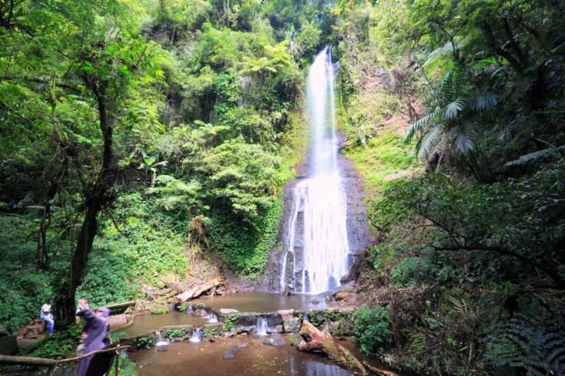 From Jakarta: Safari Park, Tea Plantation & Jaksa Waterfall - Practicalities and Tips for the Trip