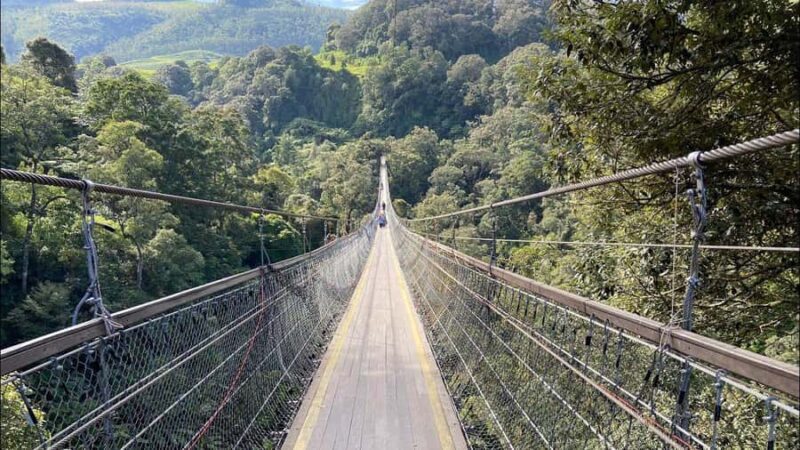 FROM JAKARTA : TOUR TO BOGOR/SUKABUMI/BANDUNG - Considerations and Tips