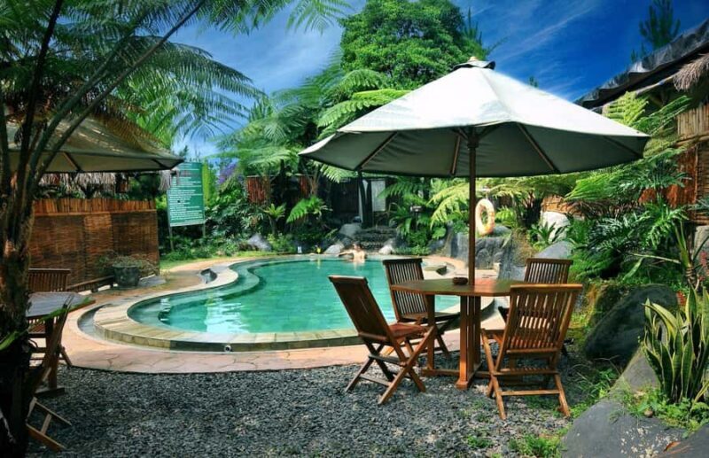 From Jakarta : Volcano, Tea & Rice Fields, Hot Spring - What Travelers Say