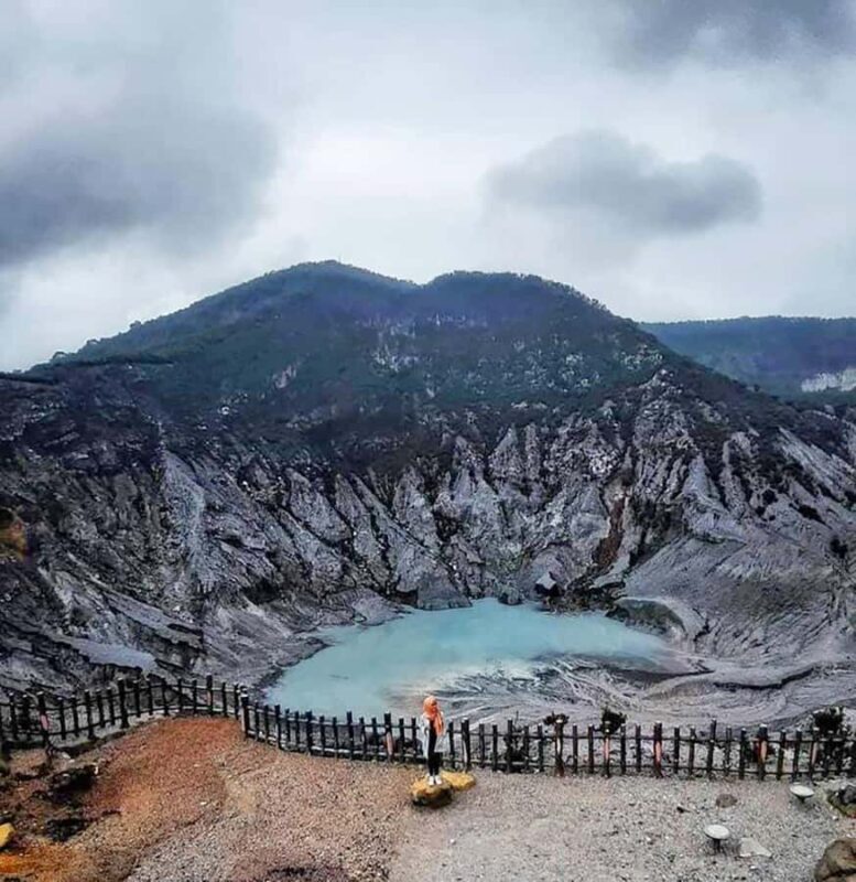 From Jakarta : Volcano, Tea & Rice Fields, Hot Spring - Who Should Consider This Tour?