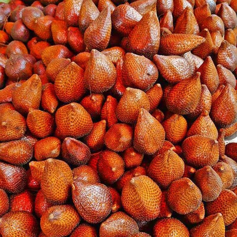 From Jakarta : Volcano, Tea & Rice Fields, Hot Spring - Final Thoughts